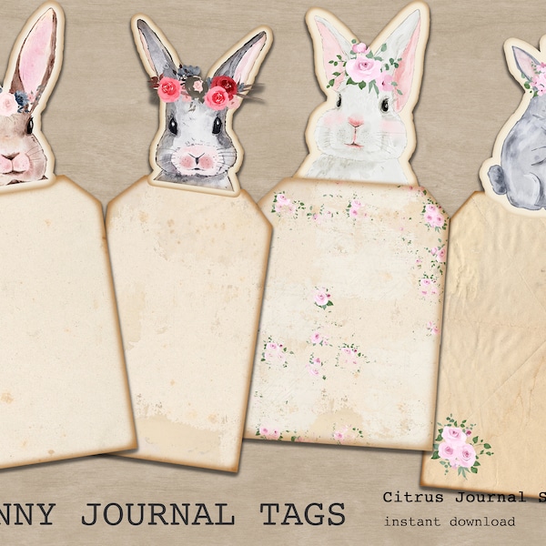 French Rabbit - Etsy