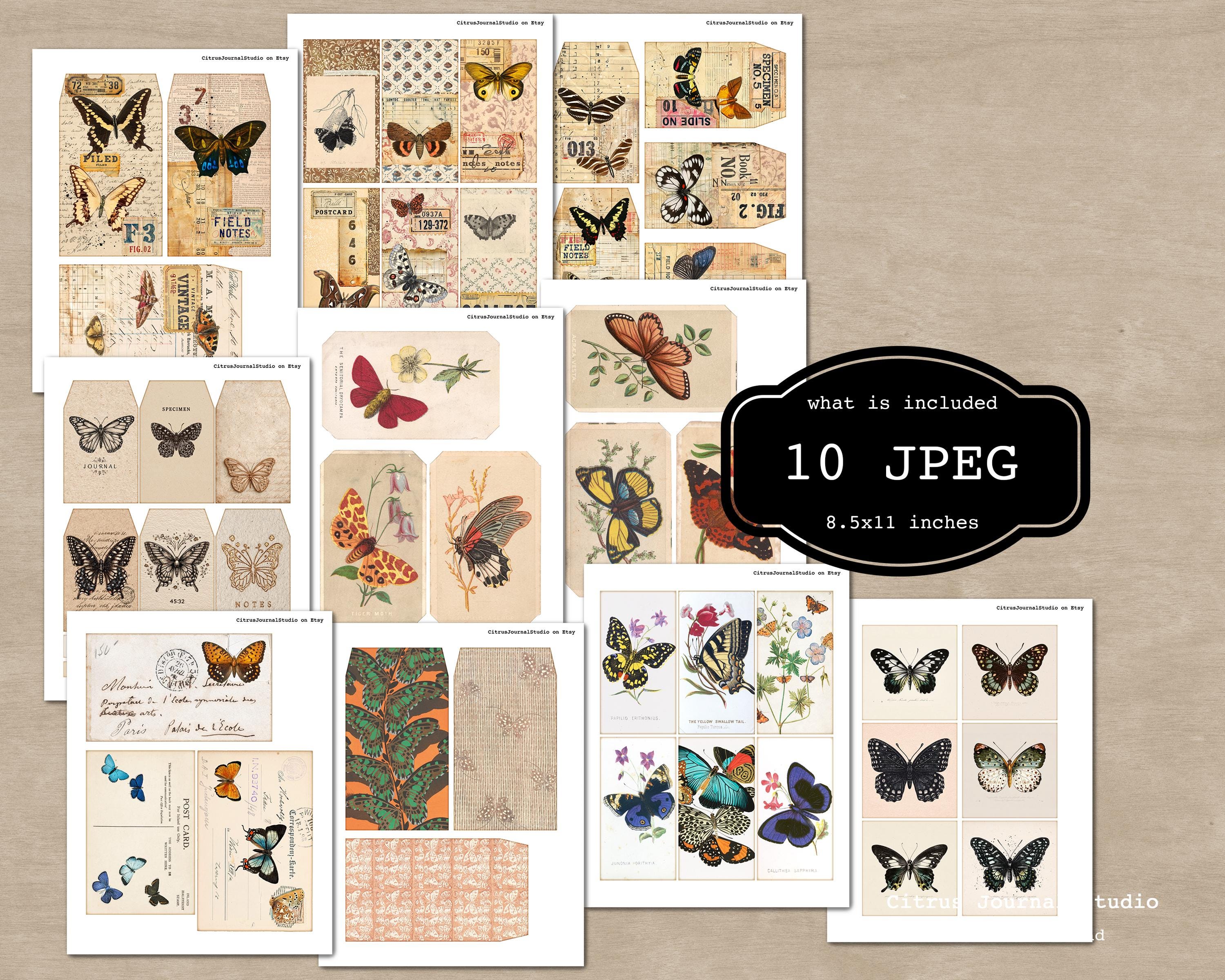 Butterfly Junk Journal Ephemera, Vintage Entomology Tags - Etsy