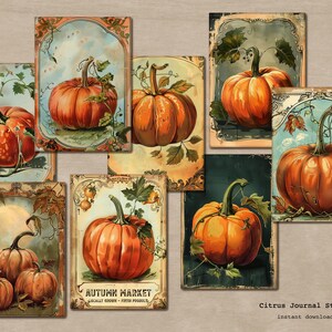 Pumpkin Ephemera, Fall Junk Journal, Vintage Pumpkin Farm, Pumpkin ...