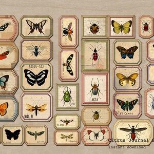 Entomology Labels, Insects Tags, Vintage Labels, Junk Journal Kit ...