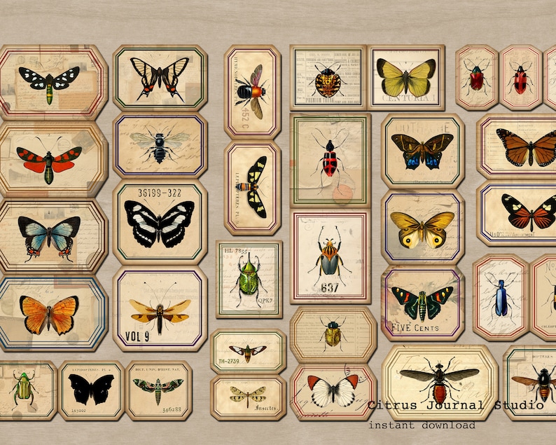 Entomology Labels, Insects Tags, Vintage Labels, Junk Journal Kit ...