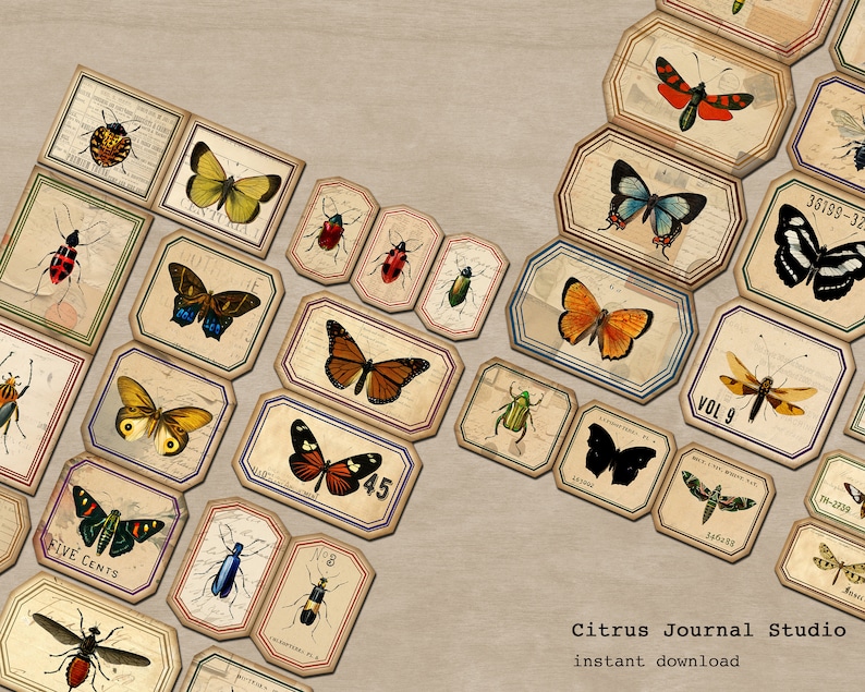 Entomology Labels, Insects Tags, Vintage Labels, Junk Journal Kit ...