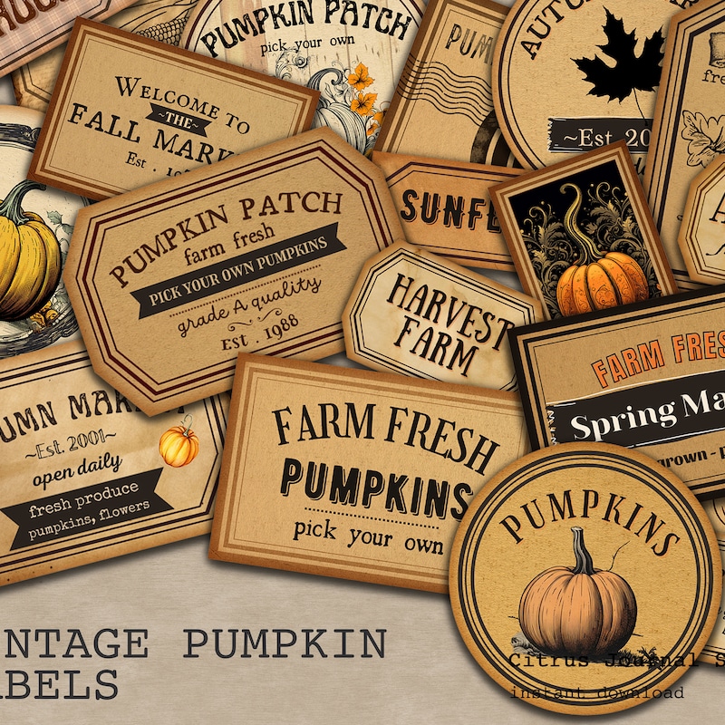 Fall Pumpkin Sign - Etsy