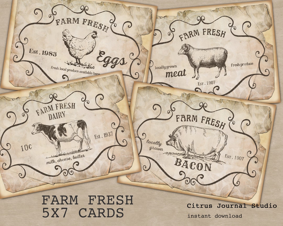 Farmhouse Animals, Farm Fresh, Farm Fresh Eggs, Vintage Farm, Journal ...