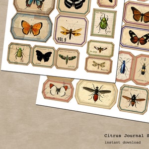 Entomology Labels, Insects Tags, Vintage Labels, Junk Journal Kit ...