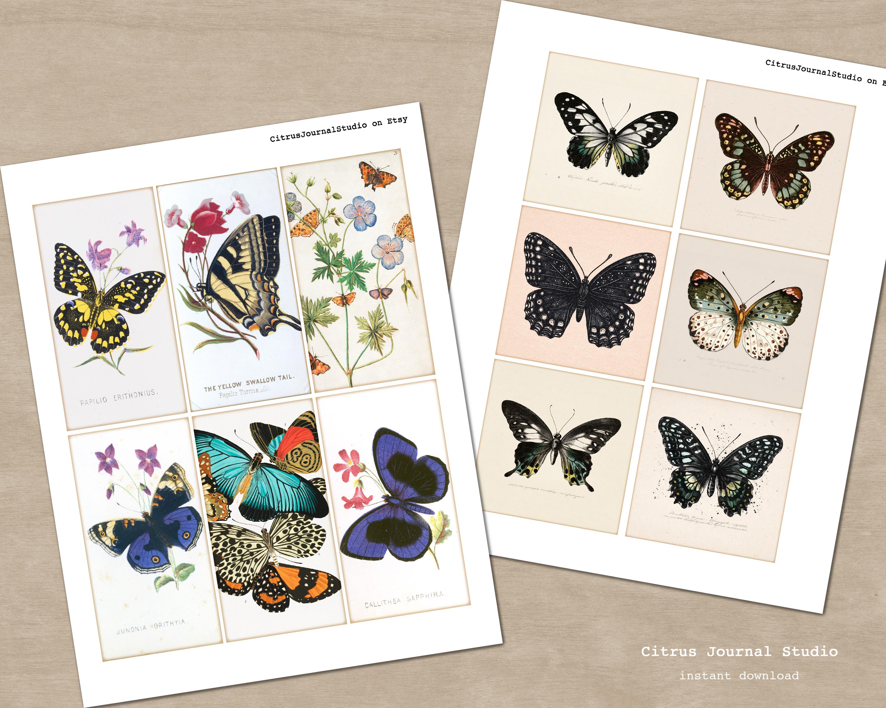 Butterfly Junk Journal Ephemera, Vintage Entomology Tags - Etsy