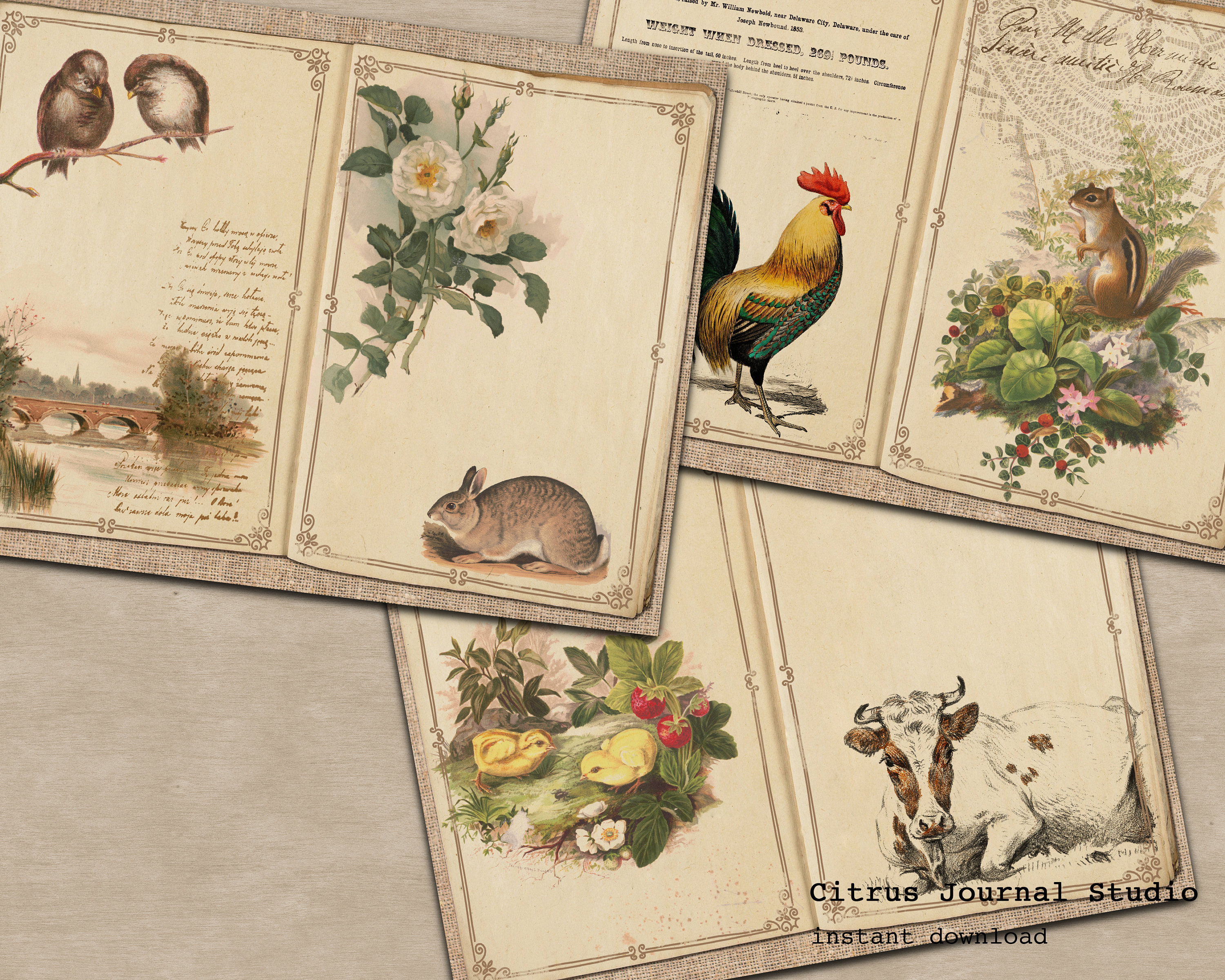 Farm Life Journal, Farm Digital Kit, Country Printable, Junk Journal ...
