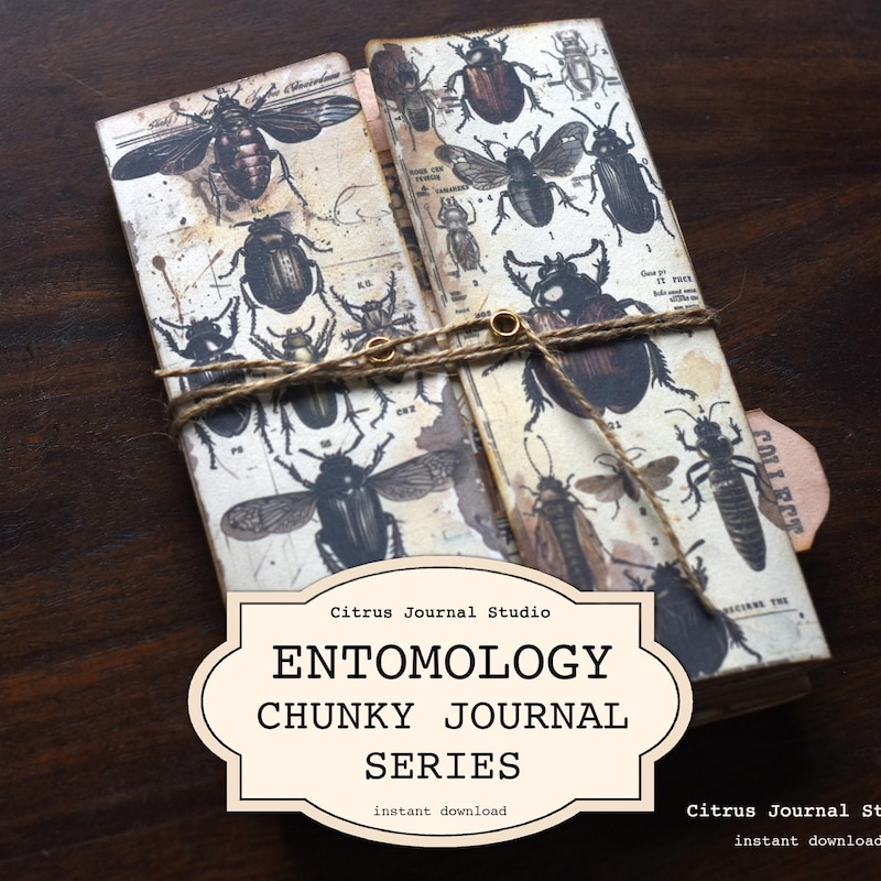 Entomology - Etsy