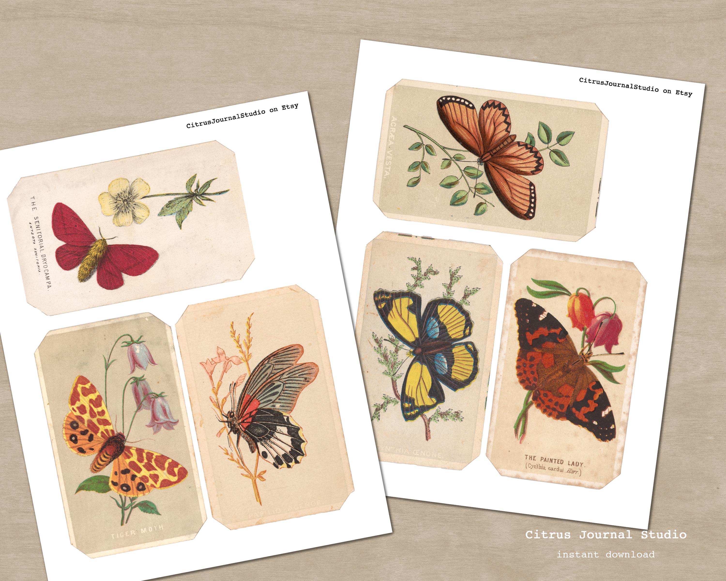 Butterfly Junk Journal Ephemera, Vintage Entomology Tags - Etsy