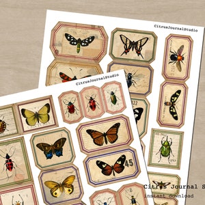 Entomology Labels, Insects Tags, Vintage Labels, Junk Journal Kit ...