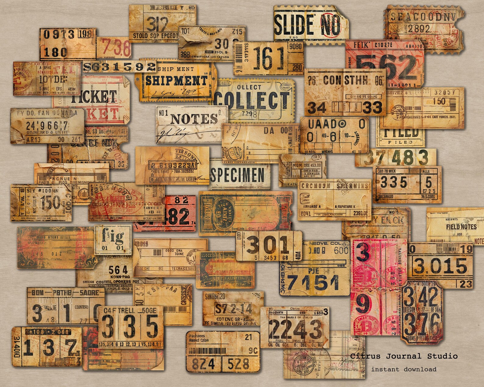 Specimen Label, Label Ephemera, Vintage Number Labels, Vintage Labels ...