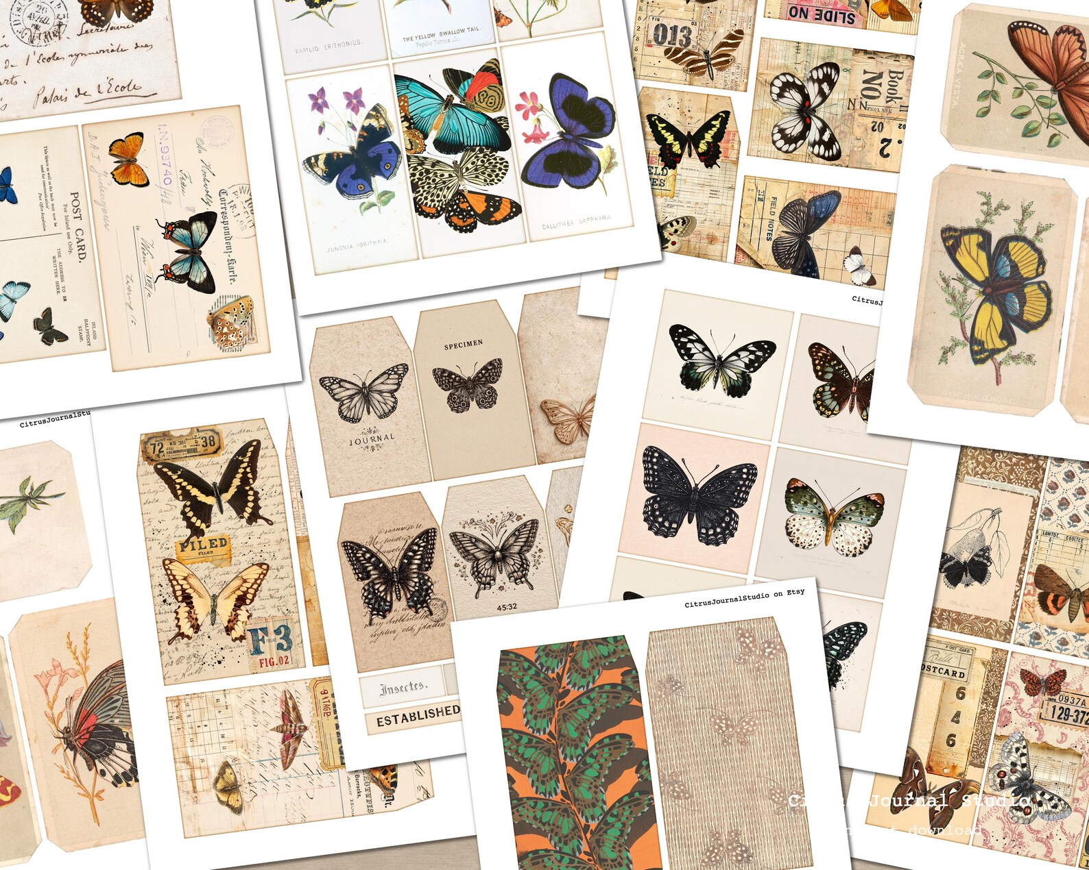 Butterfly Junk Journal Ephemera, Vintage Entomology Tags - Etsy