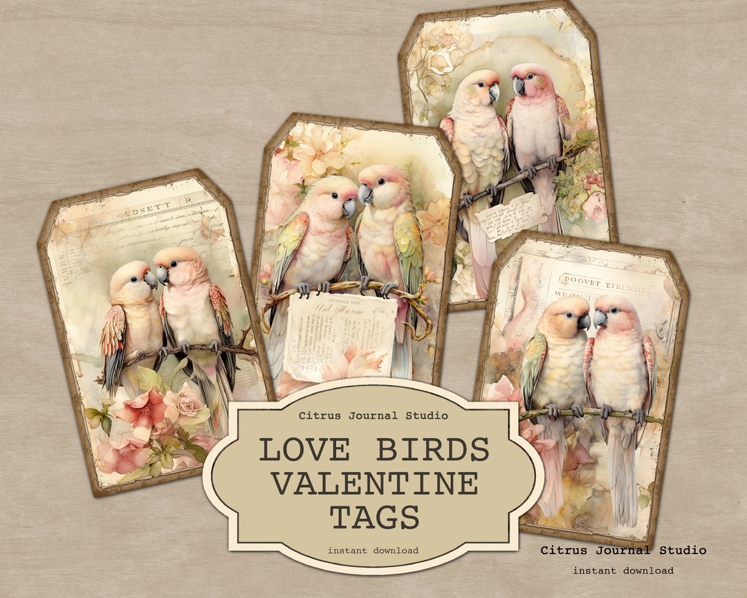 Love Birds Tags, Parrots, Valentines Day Tags, Shabby Chic Tags, Junk ...