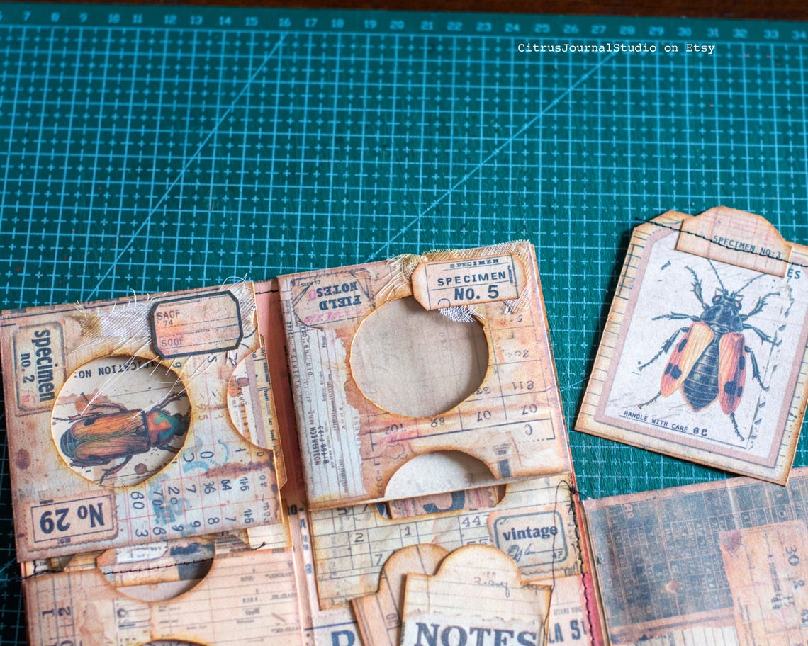 Entomology Journal Page Insert, Specimen Labels, Entomology Pocket ...