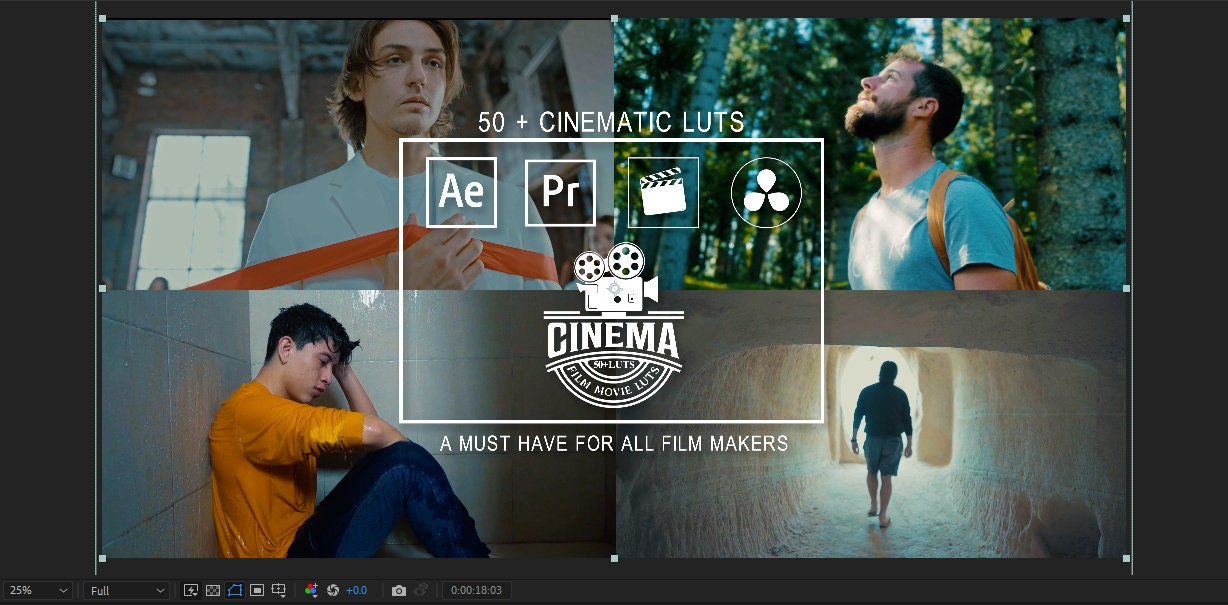 50+ Hollywood Movie Luts | Photo & Video Color Grading (digital ...