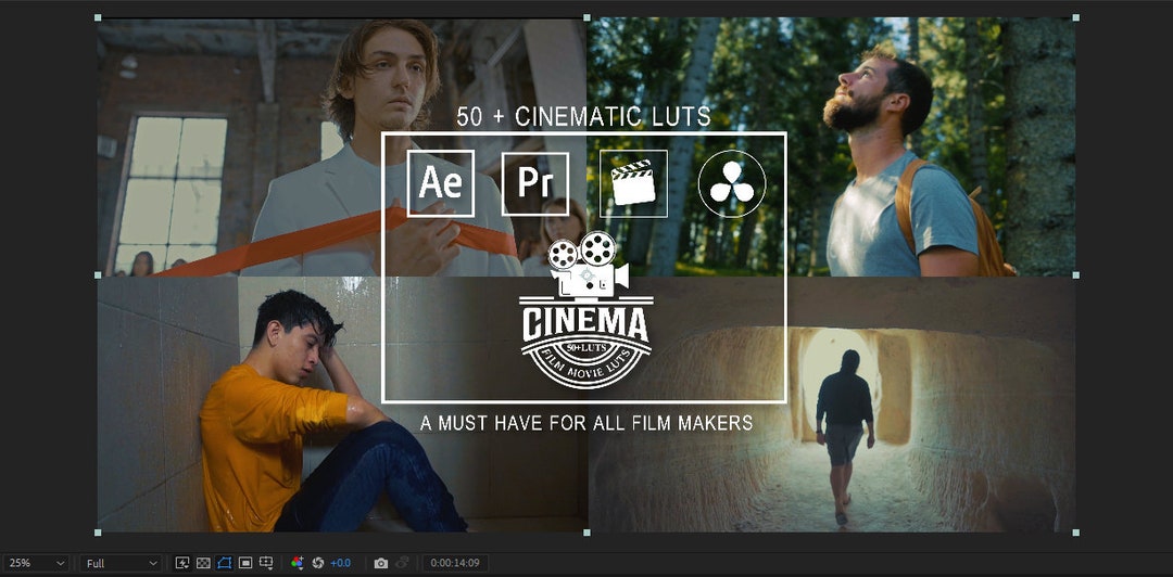 50+ Hollywood Movie Luts | Photo & Video Color Grading (digital ...