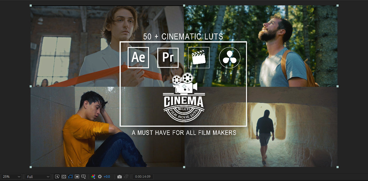 50+ Hollywood Movie Luts | Photo & Video Color Grading (digital ...