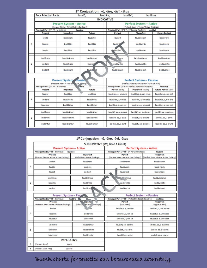 Latin Model Charts (nouns, Adjectives, Pronouns, Verbs, & Tense ...
