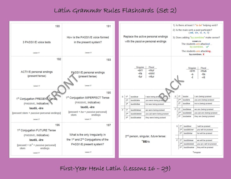 Challenge B Henle Latin Grammar Rules flashcards - Etsy