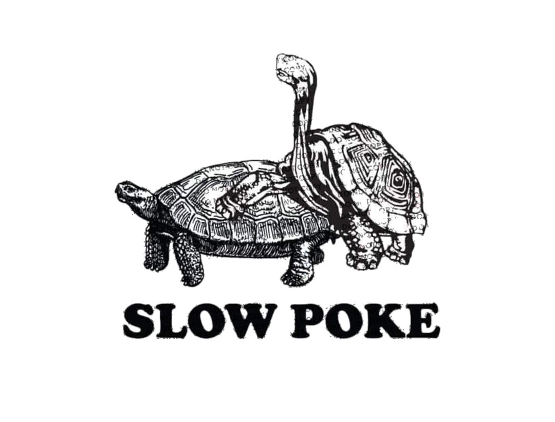 Adult Humor Slow Poke Turtles Ready to Press Sublimation Transfer - Etsy