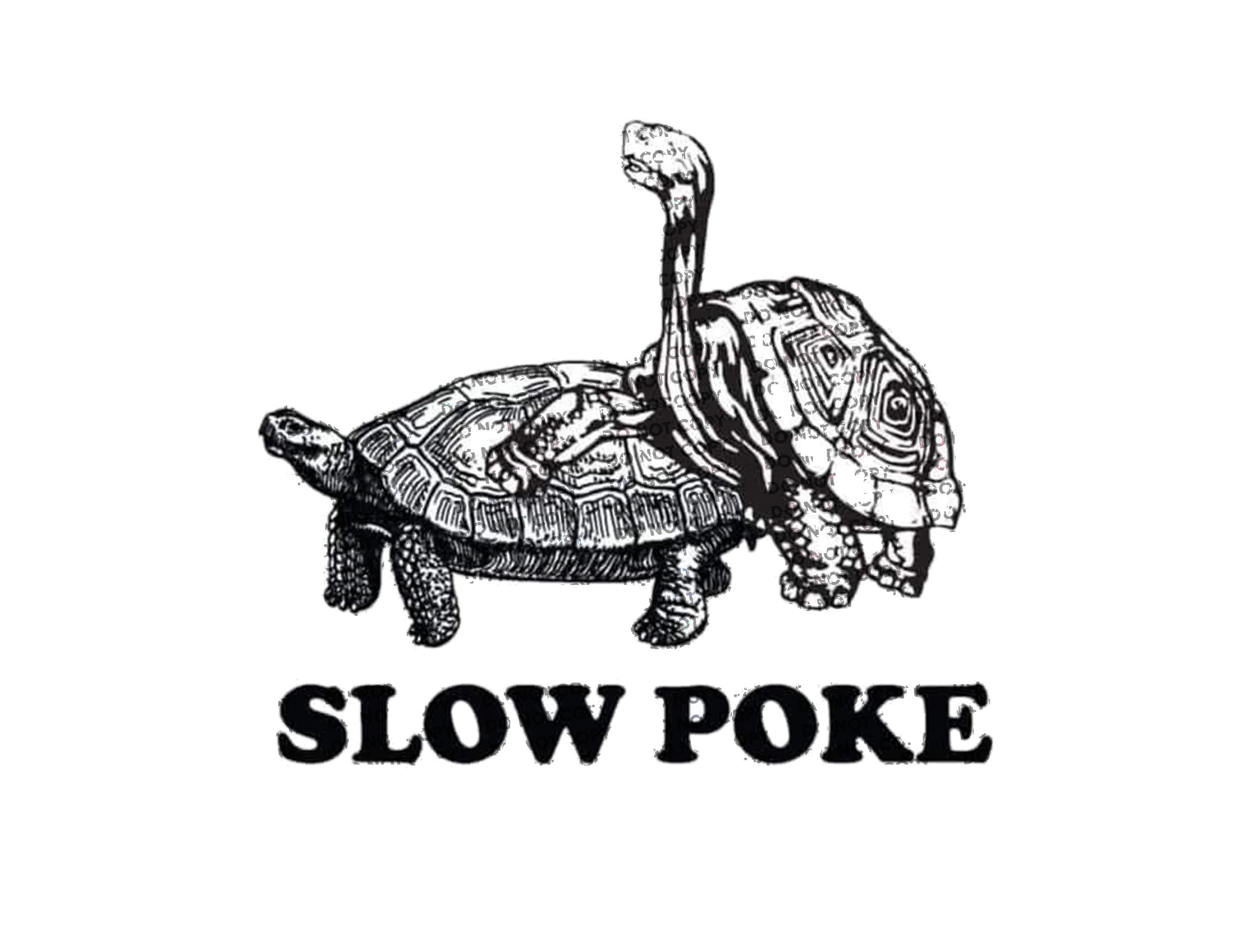 Slow Turtle Meme