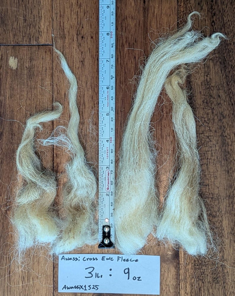 Raw Wool - Awassi X Tunis Fleece (3lbs : 9oz) - Etsy
