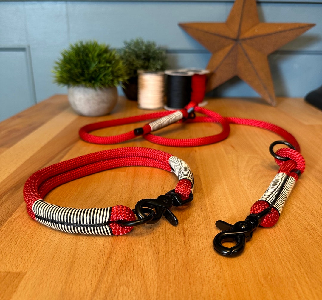 The Robin Barley & Ro Junior and Adult Bespoke Collar and Leads Rope ...