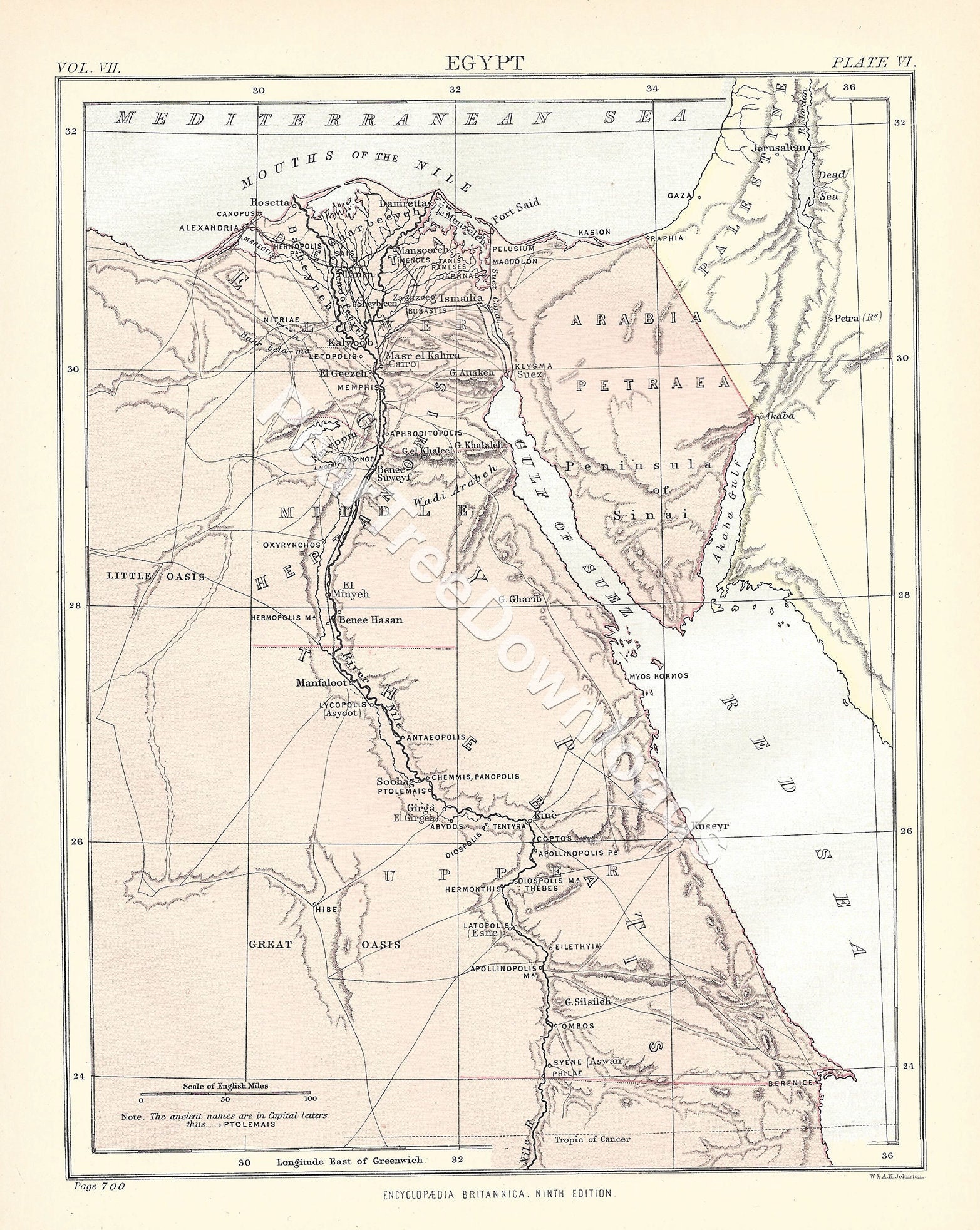 EGYPT Rare 1886 Antique Digital Map - Printable Vintage Art - Wall ...