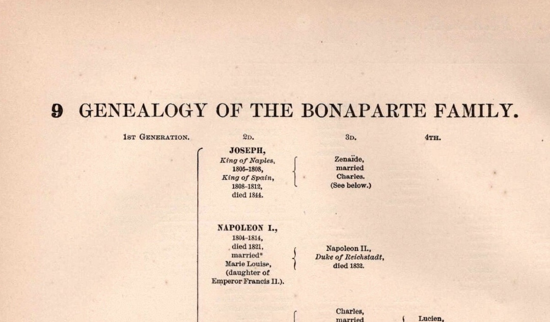 BONAPARTE FAMILY GENEALOGY Lineage Chart - European Great Historical ...