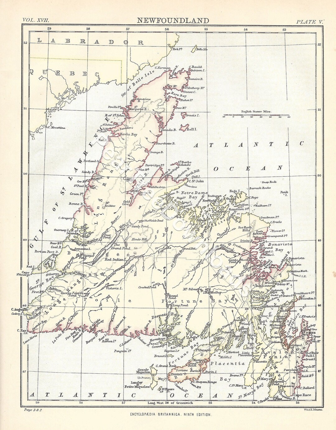 Newfoundland Antique Map Print: 1886 Vintage Wall Art (digital Download ...