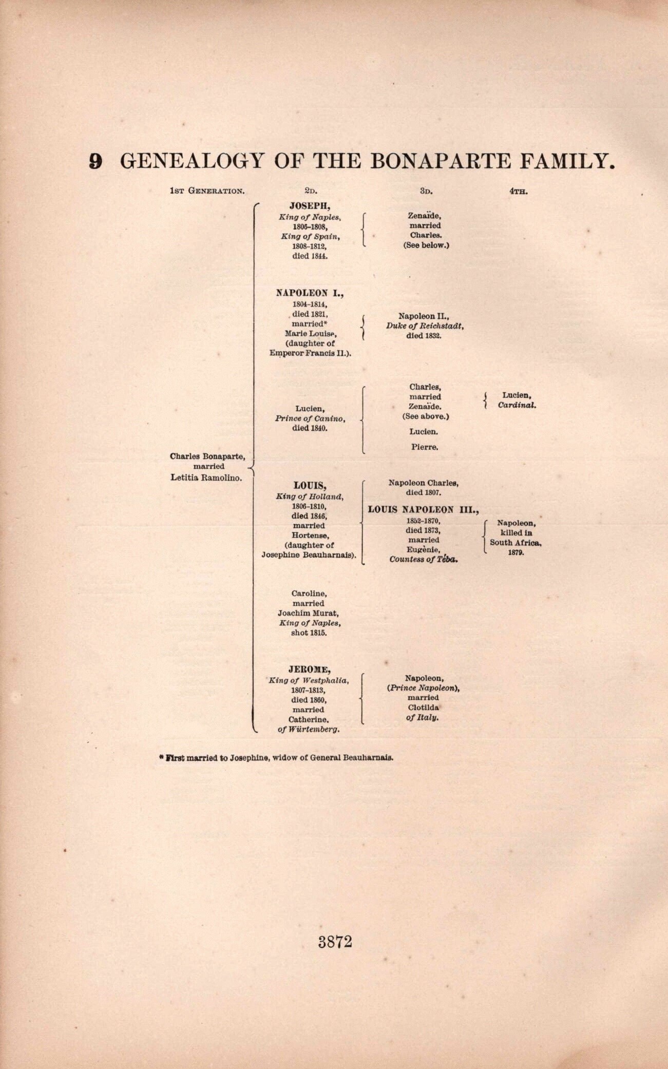 Bonaparte Family Genealogy Chart - 1901 Antique Print (digital Download ...