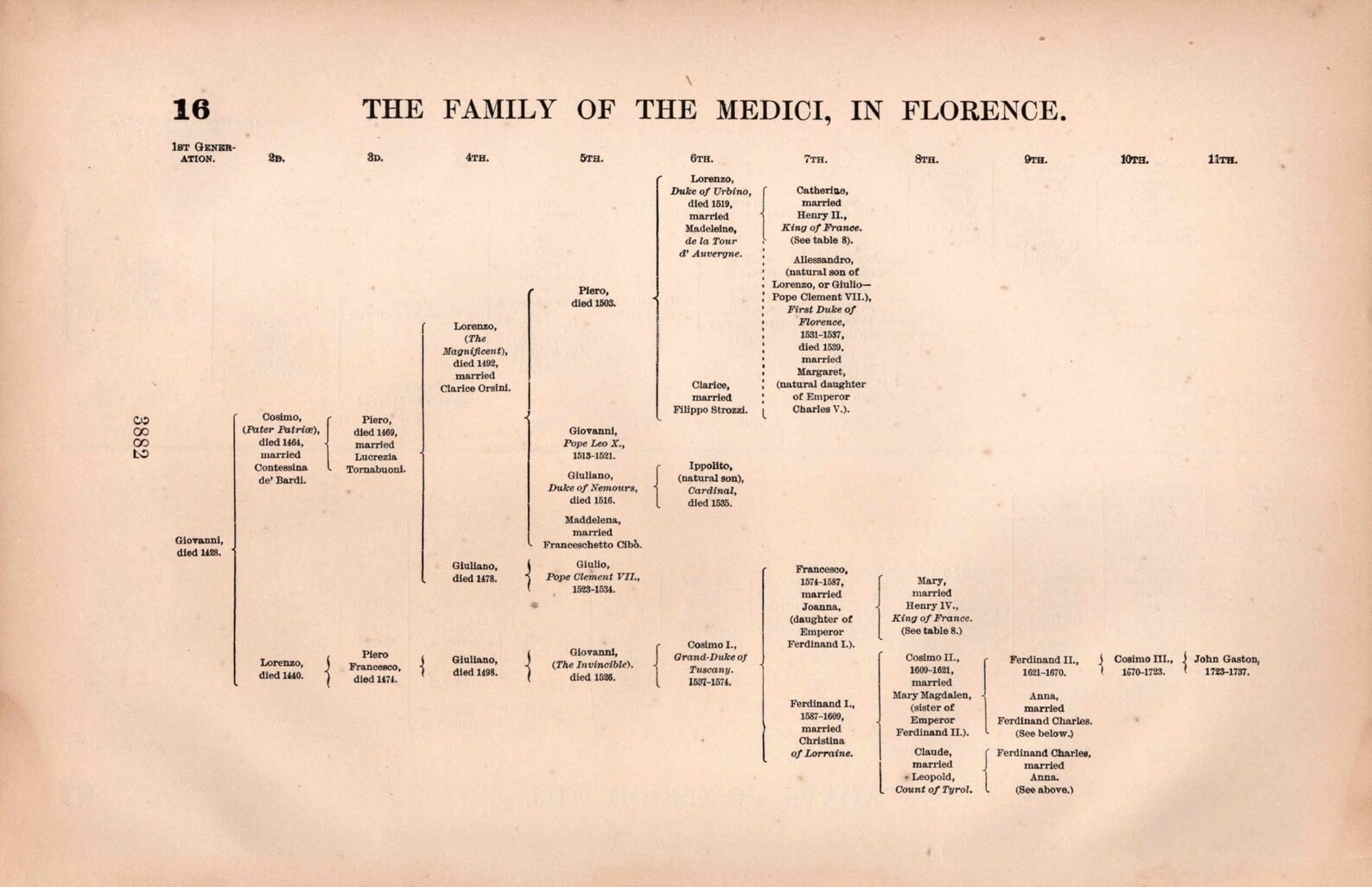 MEDICI FAMILY in FLORENCE Lineage Chart European Great Historical ...