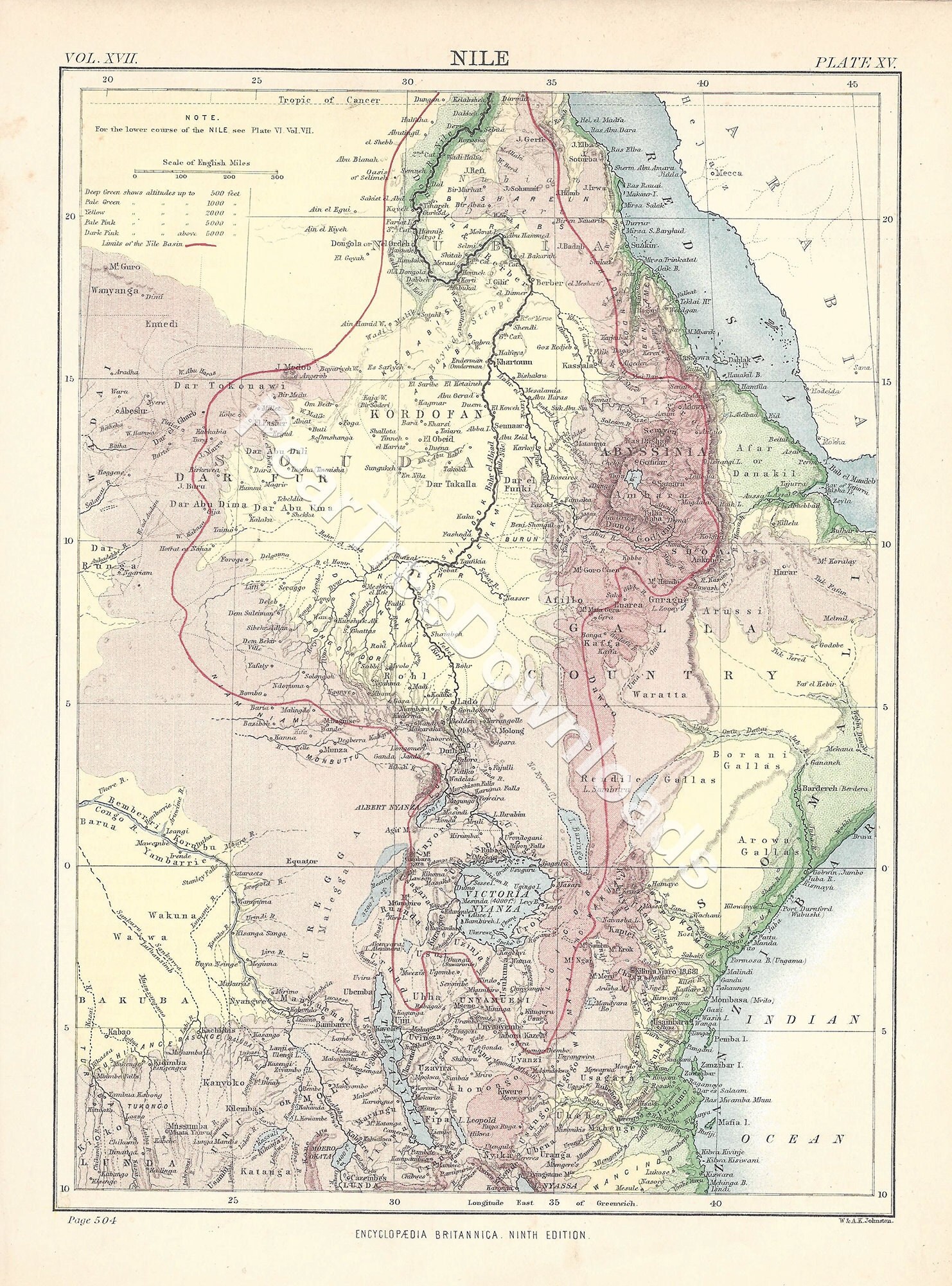 NILE Rare 1886 Antique Digital Map - Printable Vintage Art - Wall Décor ...