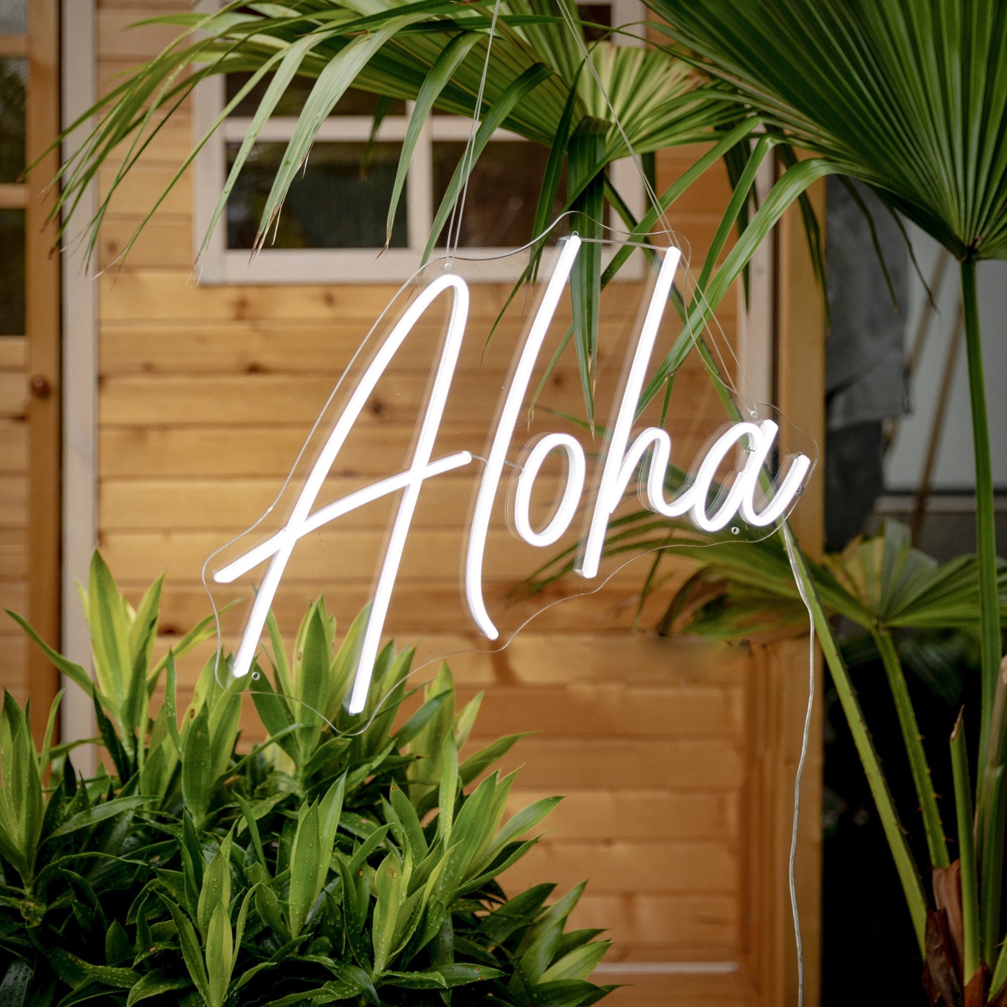 Aloha Neon Signneon Sign in the Ukcustom Neon Sign - Etsy