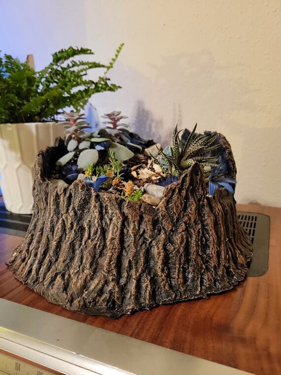 Succulent Hand Carved Epoxy Tree Stump Planter - Etsy