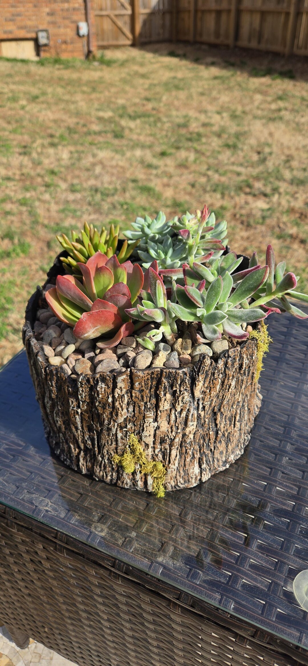 Succulent Hand Carved Epoxy Tree Stump Planter - Etsy