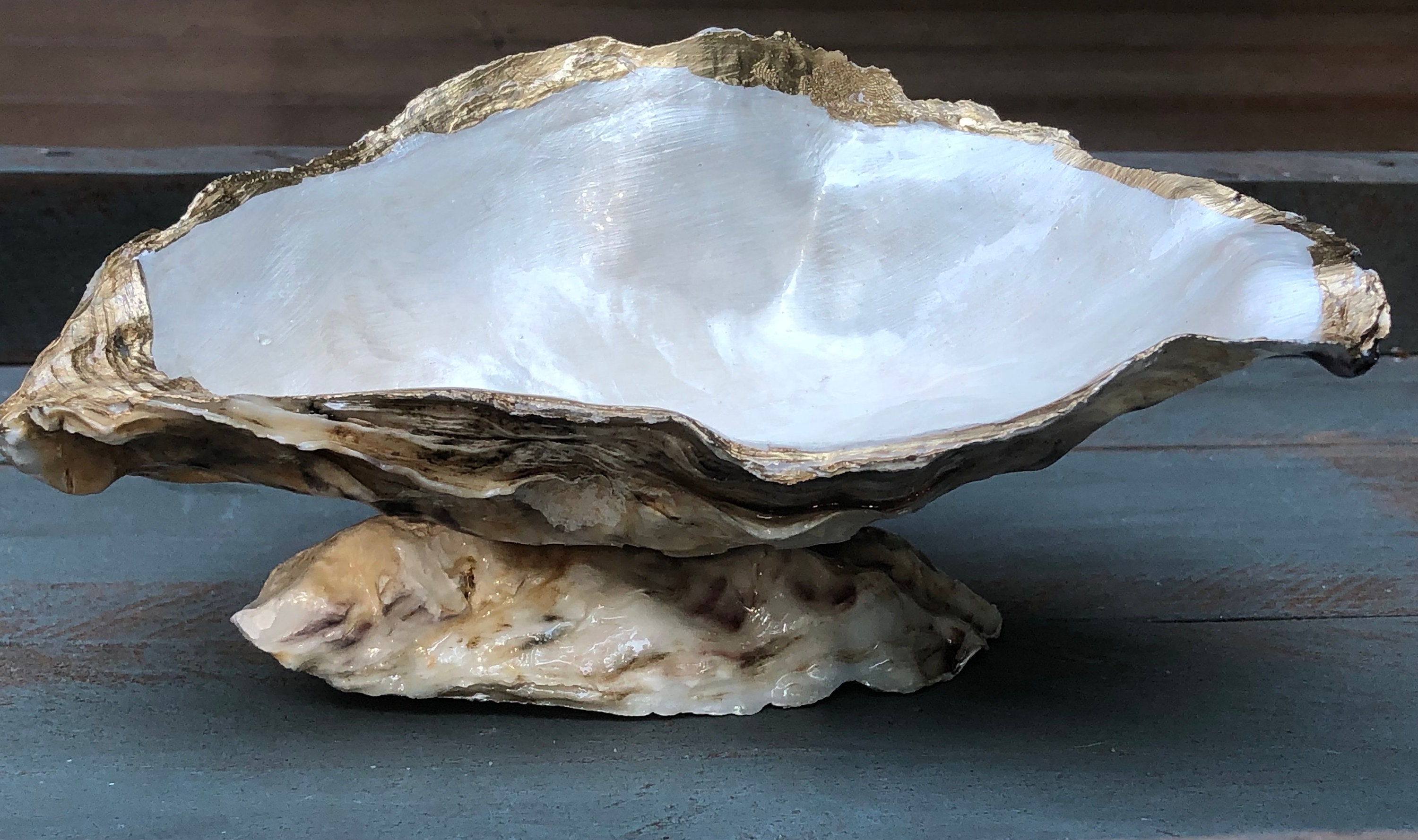 Extra Large Oyster Shell Dish - Etsy