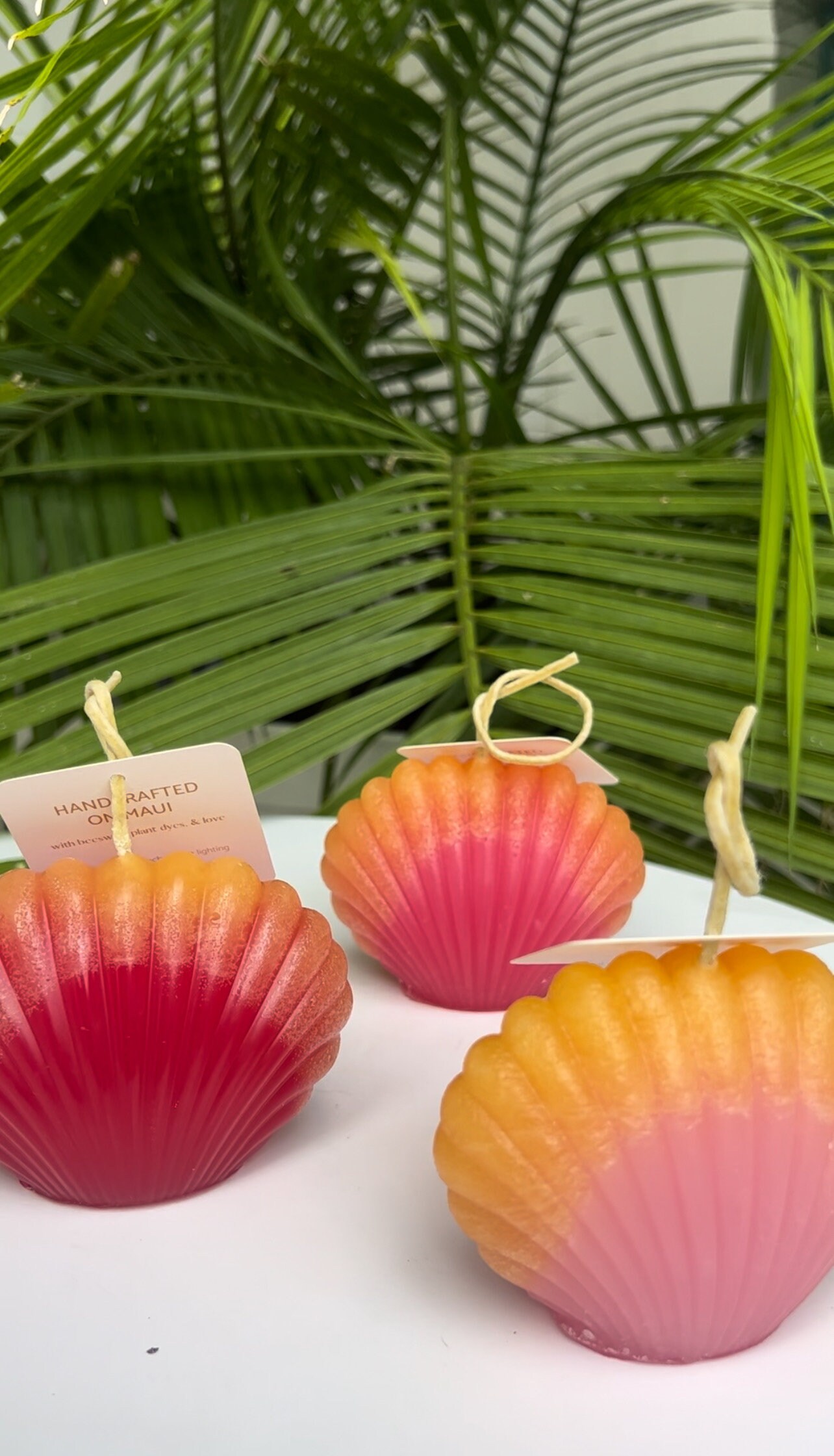 Shell Candle Made From 100% Beeswax and Natural Plant Dyes Vibrant ...
