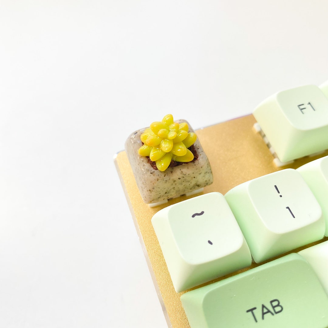 Succulent Keycap Plant Keycap Artisan Keycap - Etsy