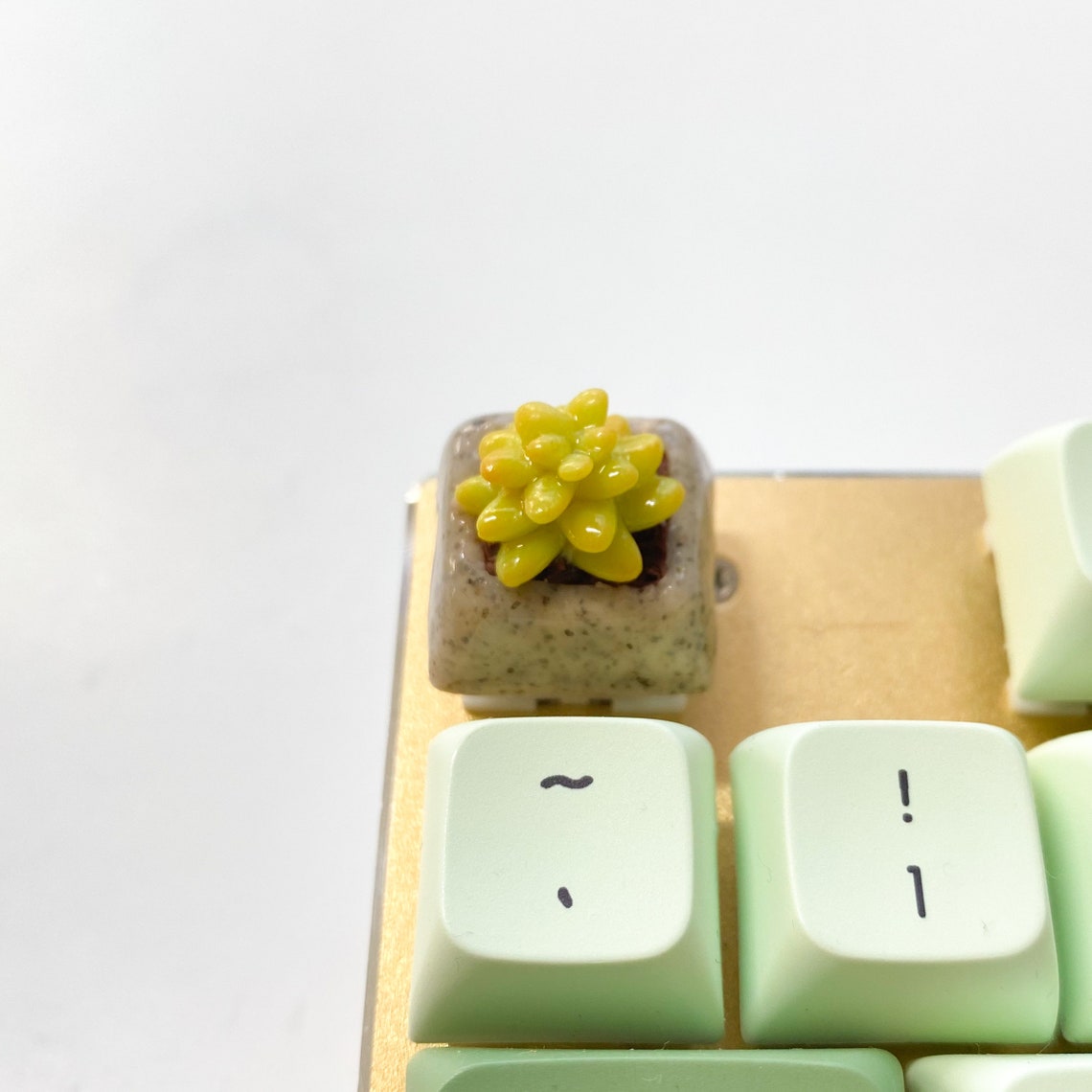Succulent Keycap Plant Keycap Artisan Keycap | Etsy