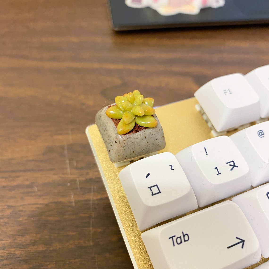 Succulent Keycap Plant Keycap Artisan Keycap | Etsy