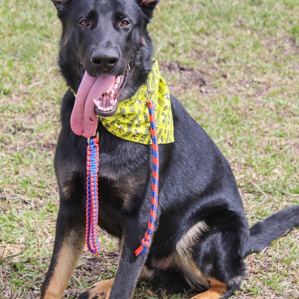 Paracord Grab Handle - Etsy