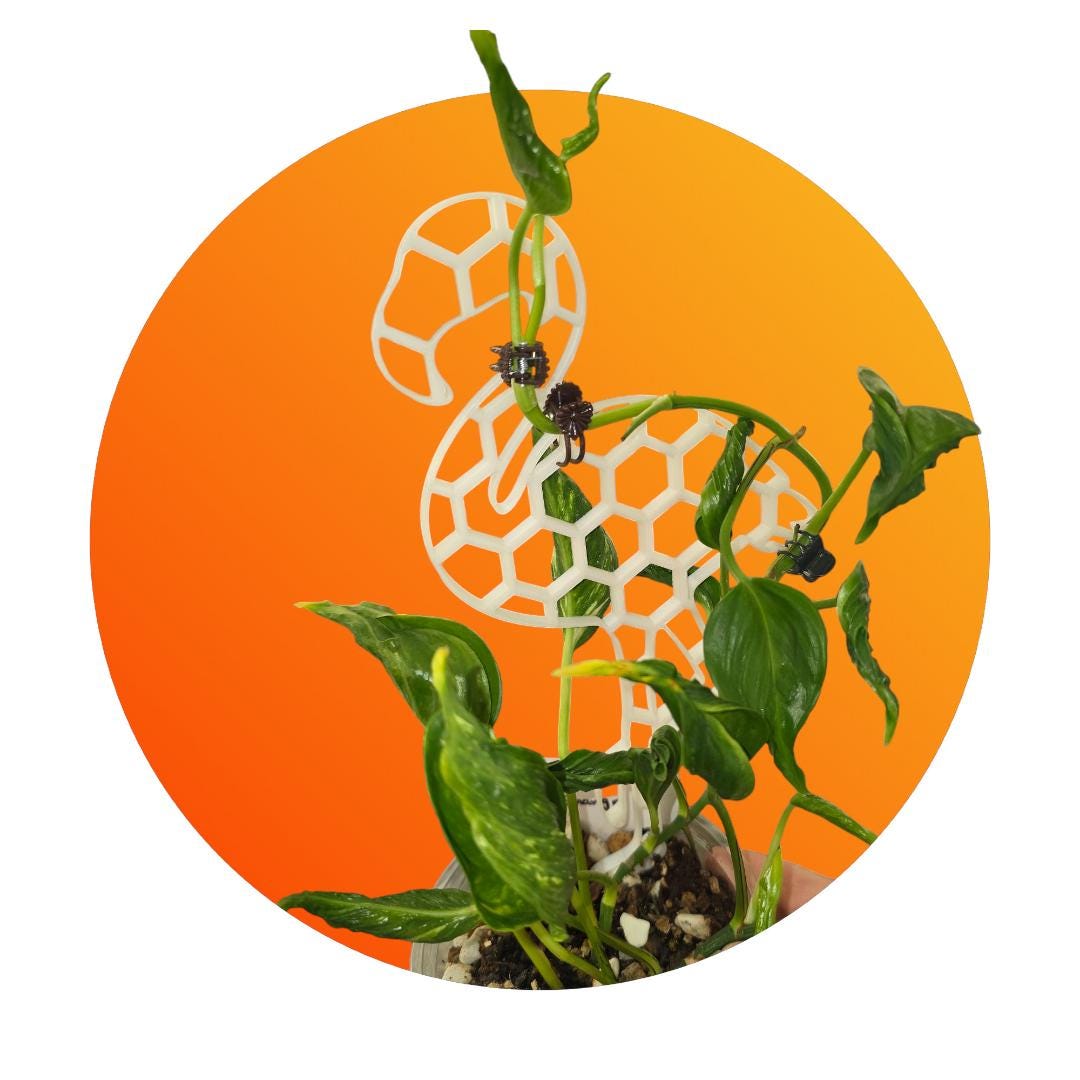 Flamingo Plant Trellis Glow in the Dark – 3D Printed Hexagon Support ...