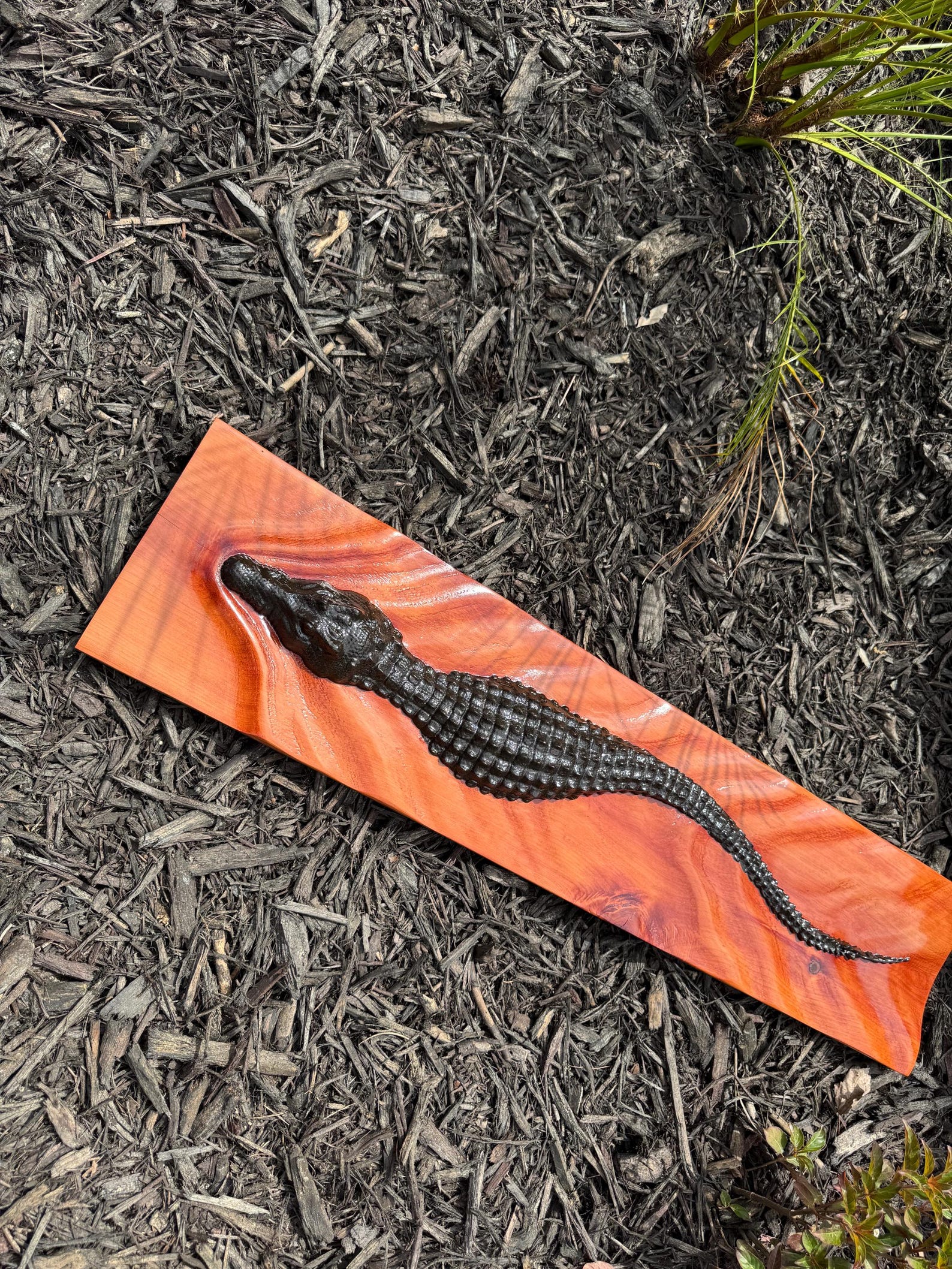 XL 3D Carved Swimming Alligator - Cedar - Etsy