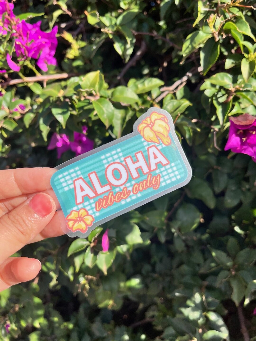 Puakenikeni Palaka Clear Sticker - Hawaii - Etsy