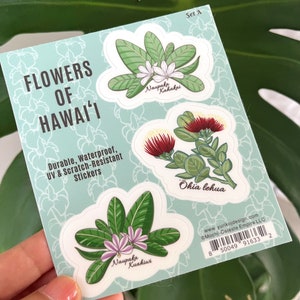 Flowers of Hawai'i Sticker Sheet SET A - Etsy