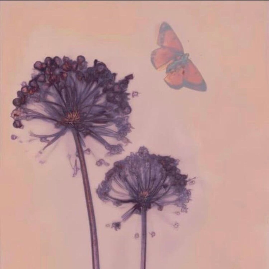 Lumen, Flowers, Nature, Art, Wall Art, Vintage, Farm House - Etsy