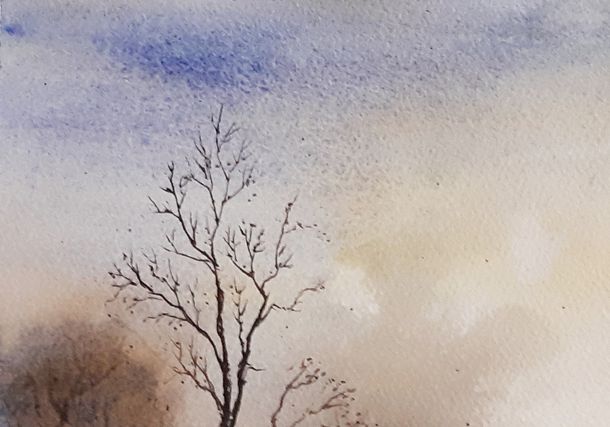 Original Art. Devon Watercolour Landscape Art, Watercolour Original ...