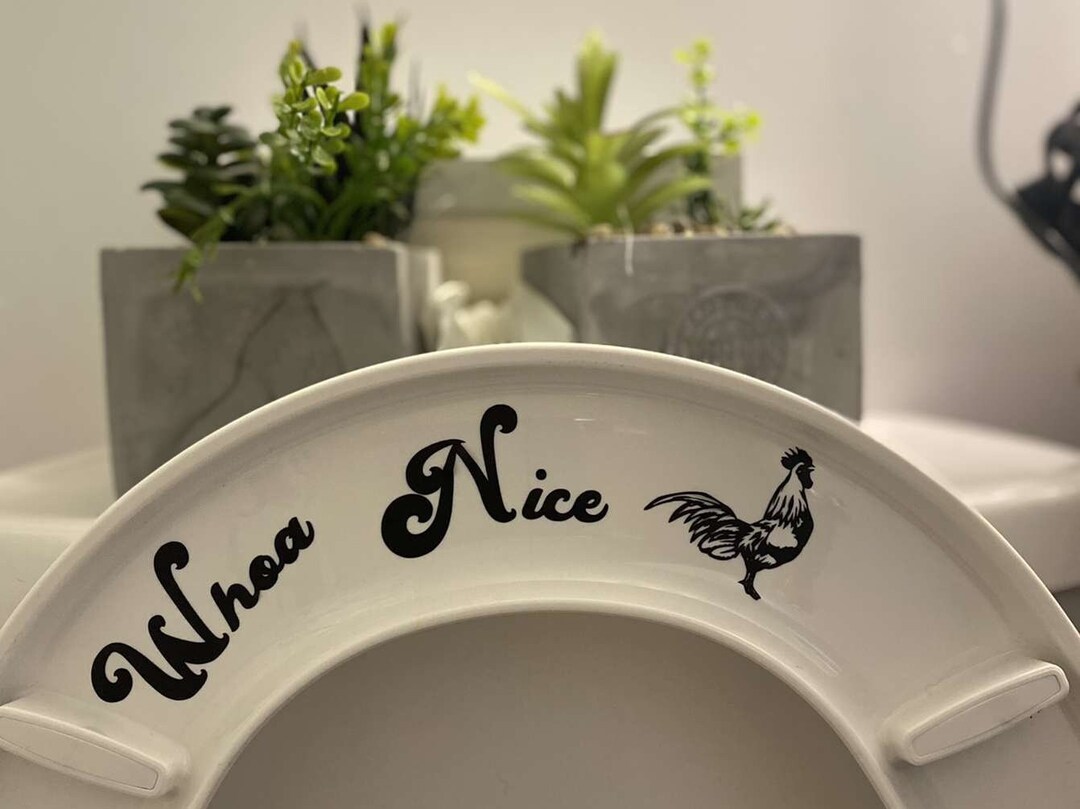 Whoa Nice C**k | Vinyl | Sticker | Funny | Adult | - Etsy