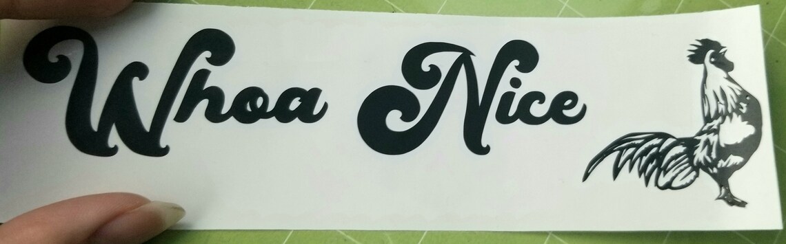Whoa Nice Ck Vinyl Sticker Funny Adult - Etsy
